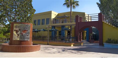 🥇universidad Mundial