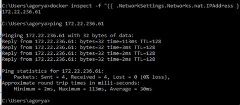 Docker Container Url Not Accessible Through Localhost Or Ip On Windows