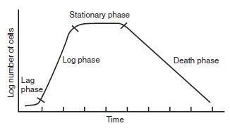 Bacterial Growth Curve Online Biology Notes