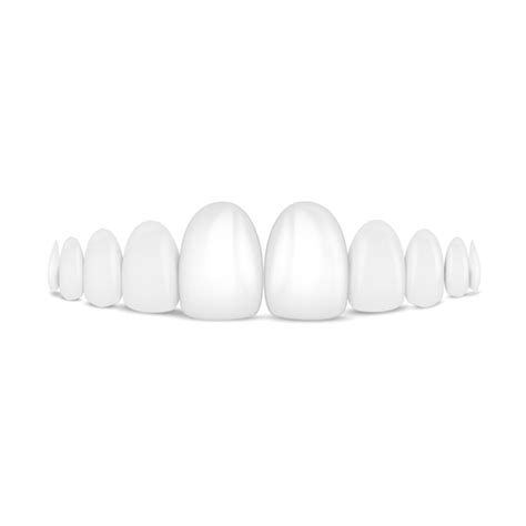 Premium Vector 3d Vector Illustration Realistic Teeth