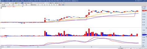 17 현대차 Sk하이닉스 한미반도체 Sk이터닉스 두산퓨얼셀