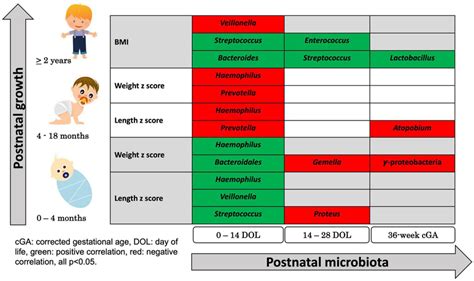 Of Significant Correlations Between Postnatal Microbial Abundance And