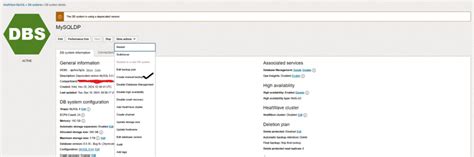 Set Up Cross Region Oracle Heatwave Mysql Disaster Recovery Copy In Oci