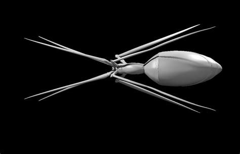 Spelljammer Ships Full Sized And Tiny Models By Mz4250 Download Free Stl Model