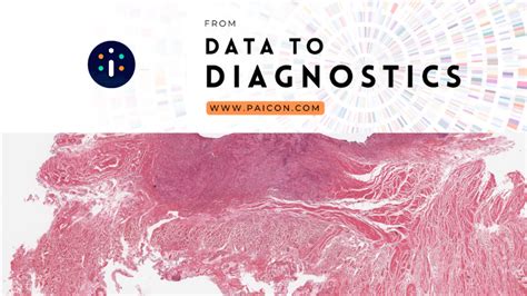 Paicon Recap Highlights From September