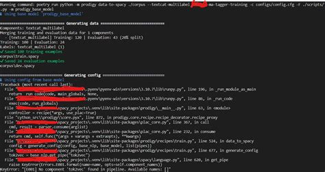 Data To Spacy Base Model Usage Prodigy Support