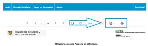 Ruaf Sispro Consultar Afiliación A Eps Pensión O Cesantías