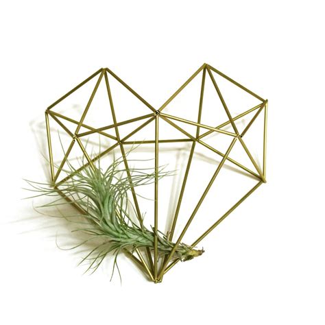 숨과 쉼의 공간 작은 정원 만들기 Diy Kit 텀블벅 크리에이터를 위한 크라우드펀딩