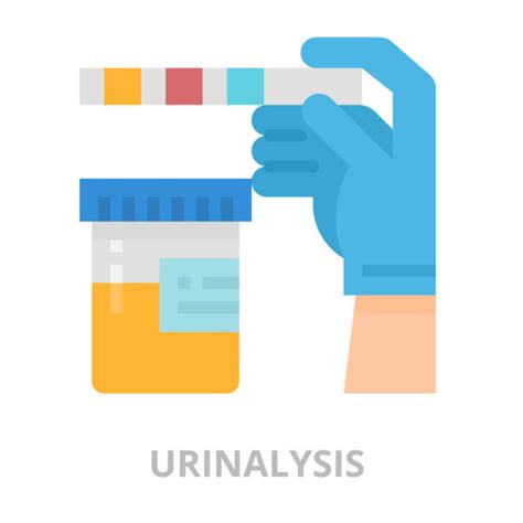 소변 샘플 스톡 사진 및 일러스트 Istock