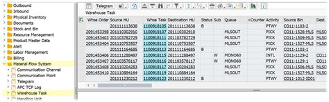 Discover Sap Ewm Mfs Mfs Node In The Warehouse Monitor