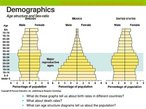 Ppt Population Dynamics Powerpoint Presentation Free Download Id