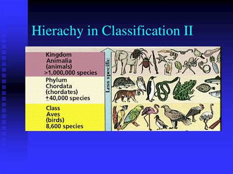Ppt Exploring Life Forms Classification And Evolutionary Relations Powerpoint Presentation Id Ppt Exploring Life Forms Classification And Evolutionary Relations Powerpoint Presentation Id
