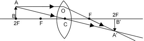 8 Examples Of Convex Lens Uses In Daily Life StudiousGuy