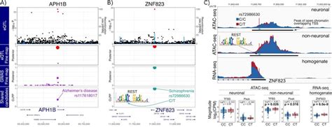 Gwas Eqtl Colocationation By Joint Fine Mapping Ab Starting From Download Scientific Diagram