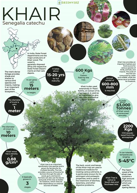 Infographics Of Khair Tree Greenverz