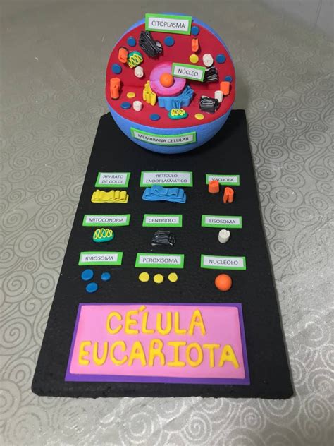 18 Addis Edible Cell Project Ideas To Save Today Cells Project