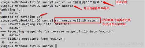 源代码管理工具 一一 Svn 版本回退、文件删除、查看版本信息svn查看本地代码版本 Csdn博客
