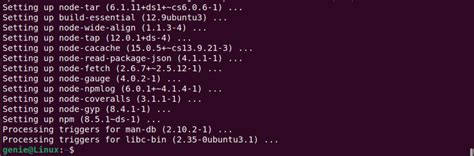 How To Install Npm On Ubuntu 2204 Linux Genie