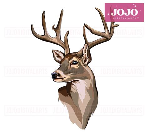 White Tailed Buck Deer Clipart