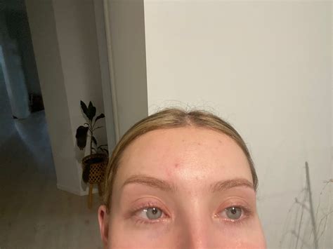 Professional Brow Tint Brow Code Professional Global