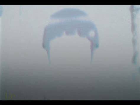 Hinata Hyugas Birthday Celebration Happybdayto