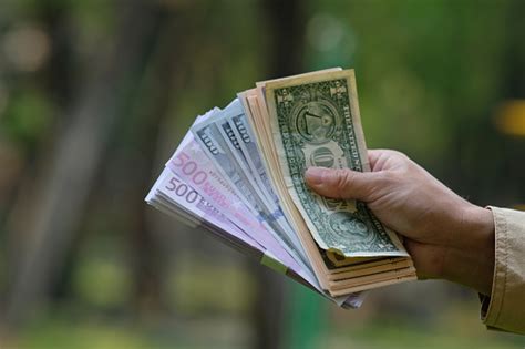 손 보유 지폐 돈 및 저축 돈과 사업 성장 개념 금융 및 투자 개념 개념에 대한 스톡 사진 및 기타 이미지 개념 개념과 주제 경제 Istock