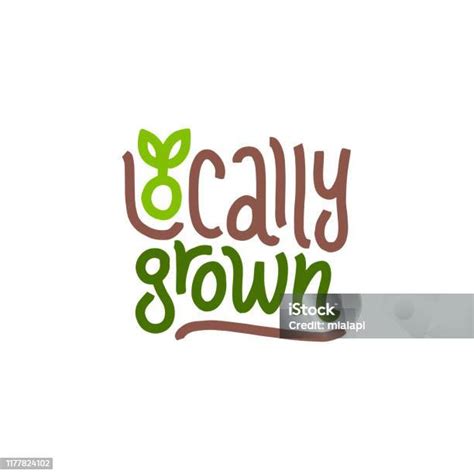 로컬 로키 플랫 손으로 그린 글자 패키지 라벨 커버 브로셔 가방에 대한 슬로건 포스터 타이포그래피 디자인 요소 개념에 대한 스톡