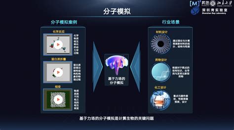 华为mindspore架构师王紫东：当生物计算领域「遇灾」，mindspore做了何解？ 腾讯云开发者社区 腾讯云