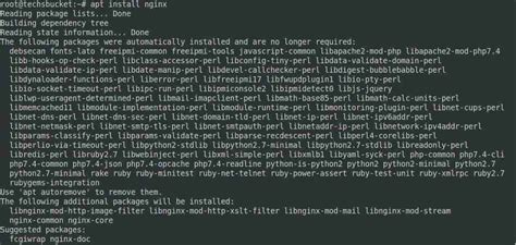 Techsbucket Apt Install Nginx