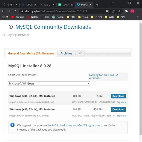 Spring Mysql 설치 하기