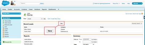 How To Add Leads In Salesforce Salesforce Faqs