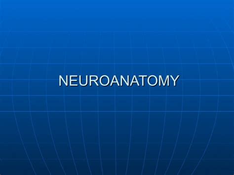 Localization In Clinical Neurology Ppt