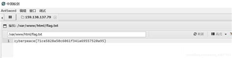 Ctf 攻防世界练习题二)ctf Index题 Csdn博客 Ctf 攻防世界练习题二)ctf Index题 Csdn博客