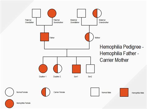 Ecomaps And Genograms A Comprehensive Comparison