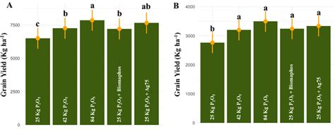 Effect Of Phosphate Solubilizing Bacteria On Grain Yield In Maize A
