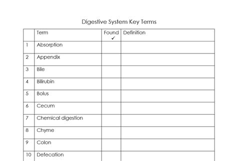 Digestive System Word Collage Vocabulary Coloring Anatomy Biology