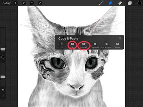 How To Copy And Paste In Procreate The Easy Way Adventures With Art