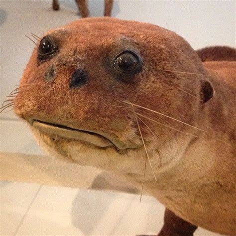 Pin Di Gabi 🧟‍♀️ Su Aesava