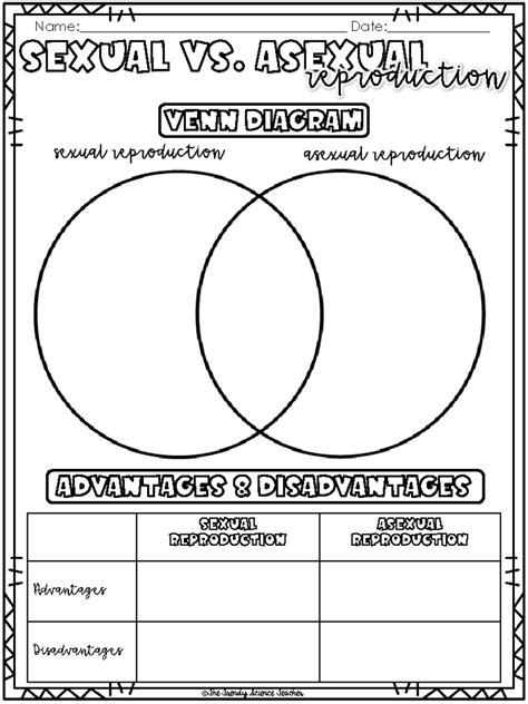 Jaden Owen Sexual Vs Asexual Reproduction Worksheet Reproduction
