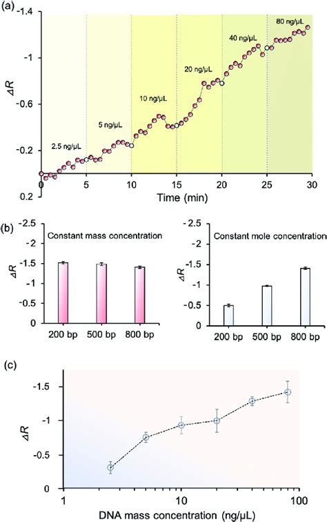 Dose Sensitive Detection Of Dna With The Ionic Diode A A Real Time Download Scientific