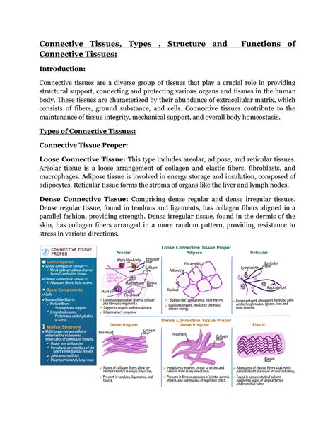SOLUTION Connective Tissues Types Structure And Functions Of Connective Tissues Studypool