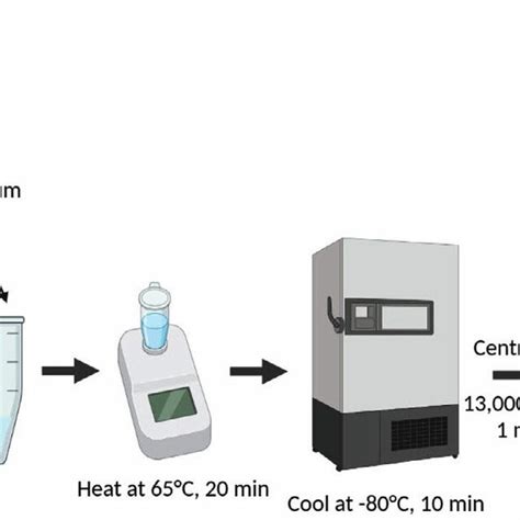 Schematic Representation Of Rapid Genomic Dna Extraction Based On