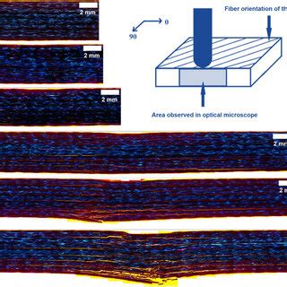 The Corresponding Optical Micrographs For Points Af In Figure 2 Download Scientific Diagram