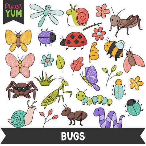 Cute Bug Clipart Insect Clip Art Commercial Use OK Made By Teachers