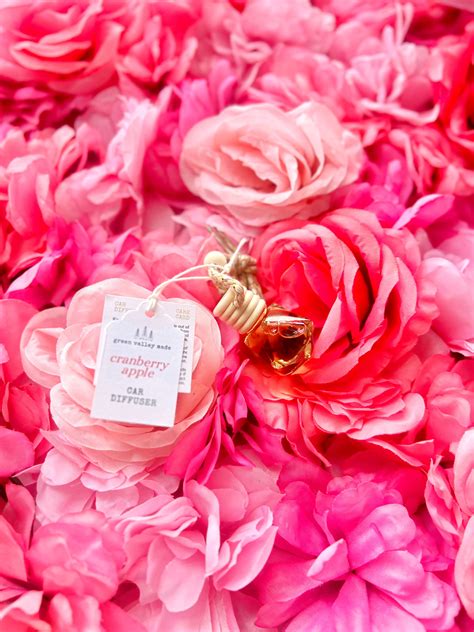 Cranberry Apple Car Diffusers Pink Creek