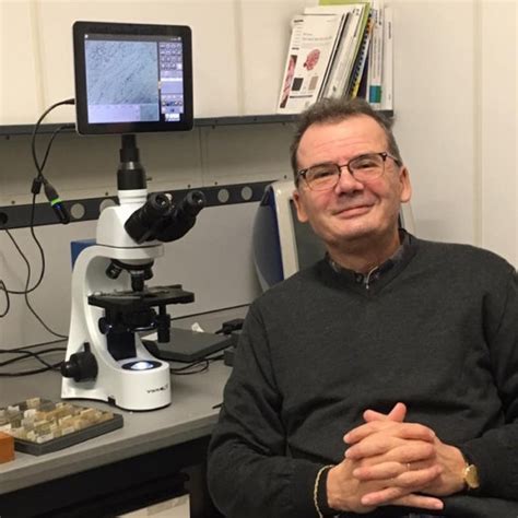 Stefano Bacci Senior Researcher Phd University Of Florence Florence Unifi