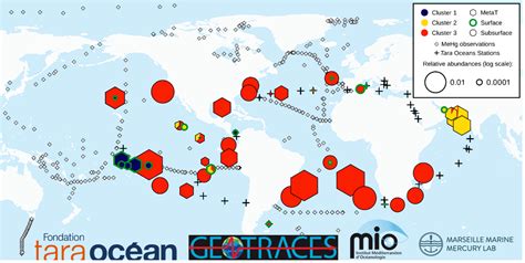 Who Produces Methylmercury In The Global Ocean Geotraces