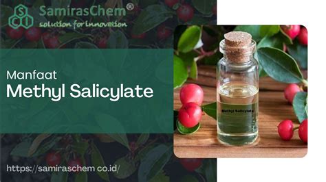 Manfaat Methyl Salicylate