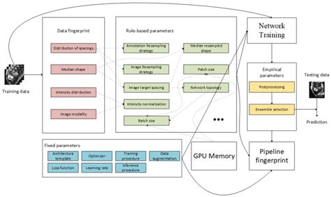 Nn Transunet An Automatic Deep Learning Pipeline For Heart Mri