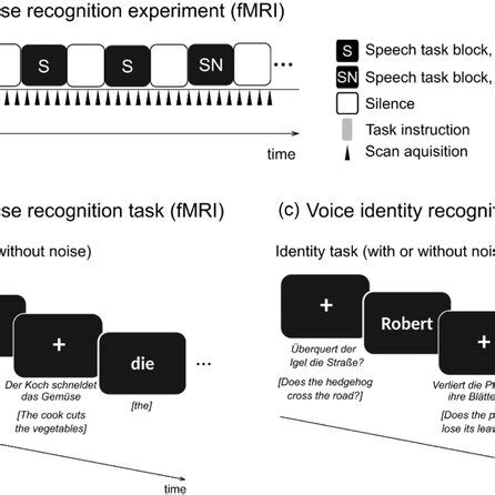 Experimental Design And Example Trials For The Speechinnoise Download Scientific Diagram